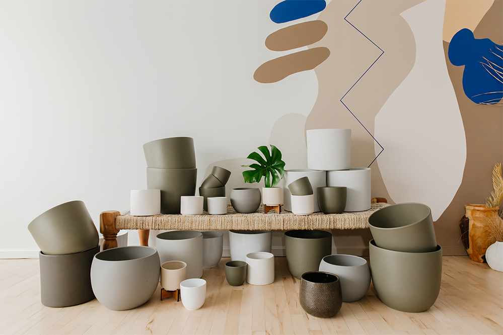The Ultimate Guide to Choosing a Pot for your Indoor Plant – Plantsome