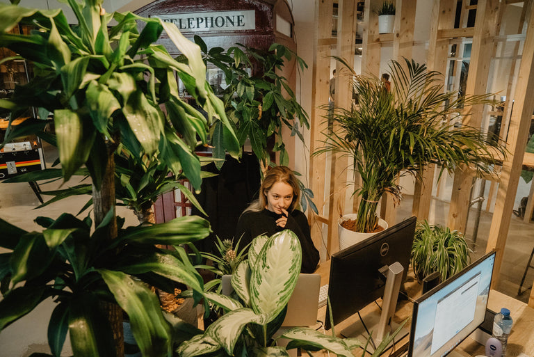 3 Reasons Why You Need Plants in Your Home Office – Plantsome