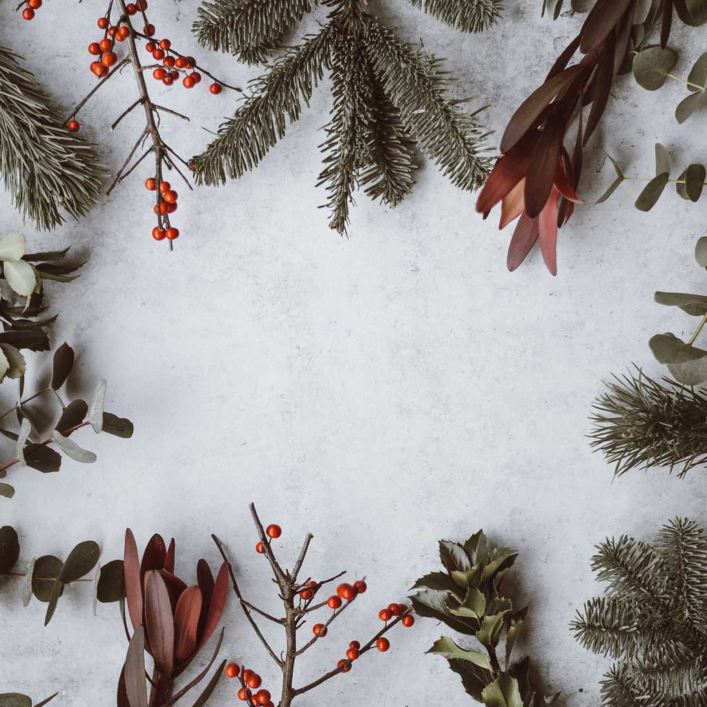 Plant Styling Tips for the Holidays – Plantsome