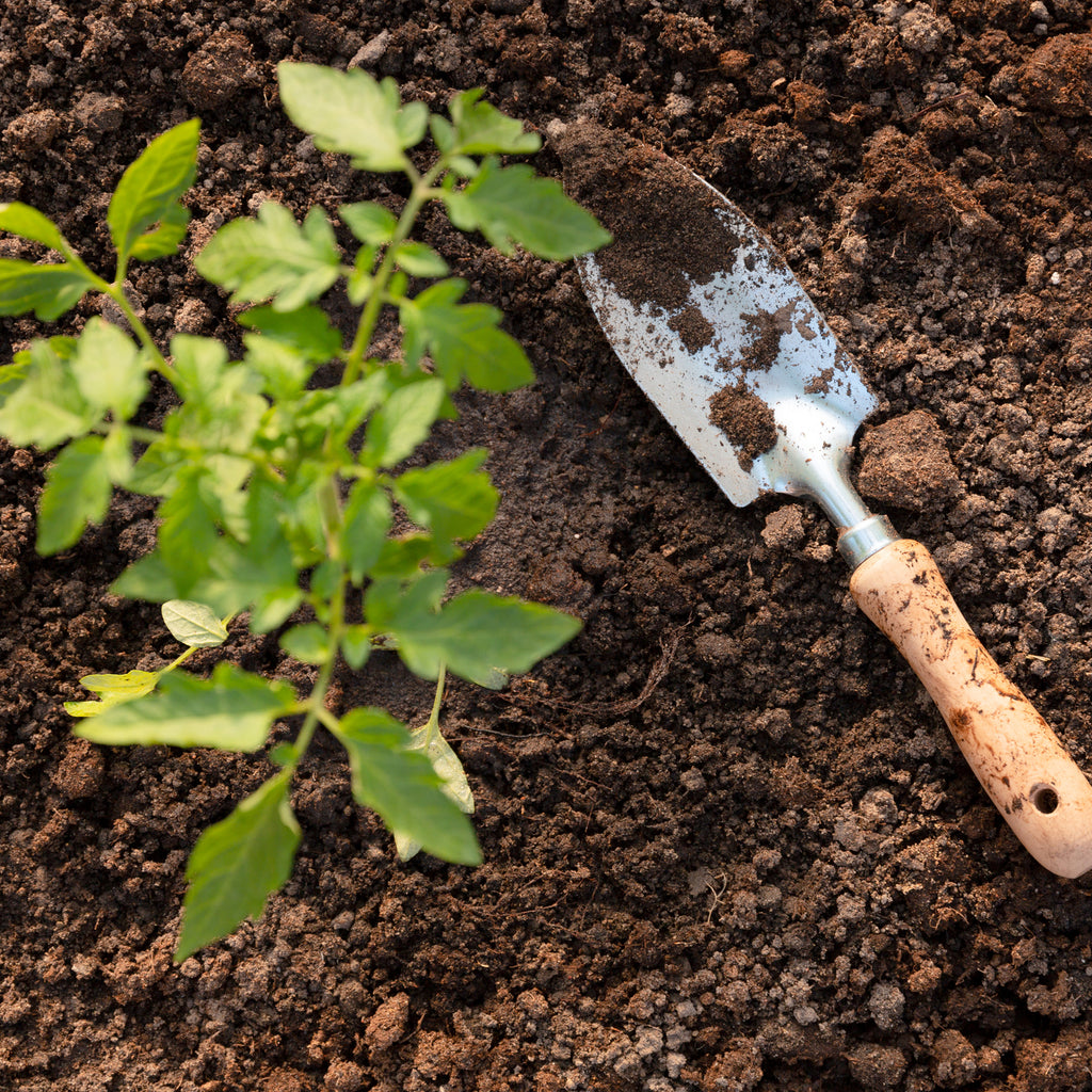 A Simple Guide to Garden Soil – Plantsome
