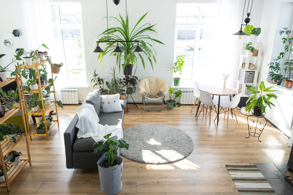 Growing in Small Spaces: A Guide to Apartment Planting – Plantsome