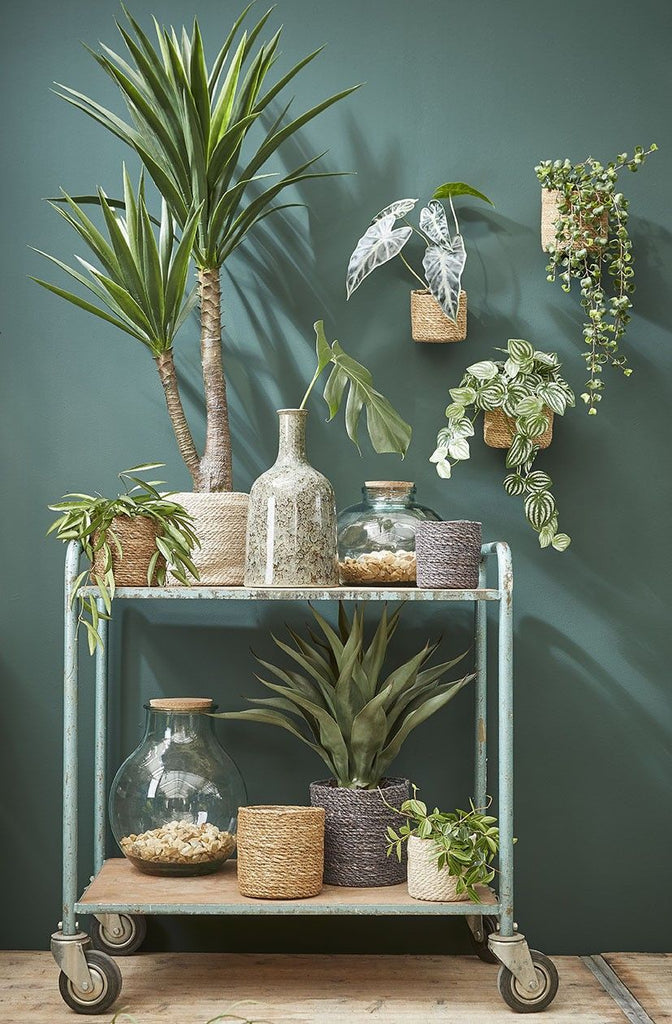 Artificial Joshua Tree Cane Yucca in Pot | 10" Pot | Pet Friendly And ...