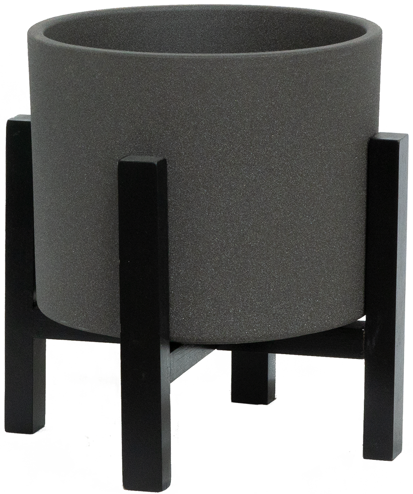 Isaac on Stand (18cm | fits 6 inch) – Plantsome